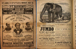 Isaac W. Sprague, The Living Skeleton Of Sideshow Fame