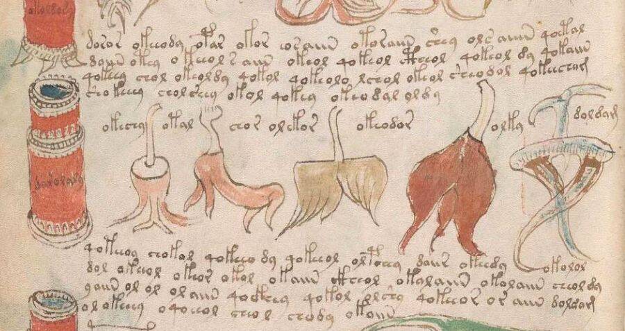 Inside The Voynich Manuscript, The Indecipherable Medieval Codex