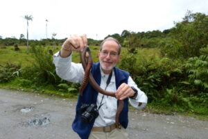 Meet Australia's Giant Gippsland Earthworm, The World's Biggest Worm