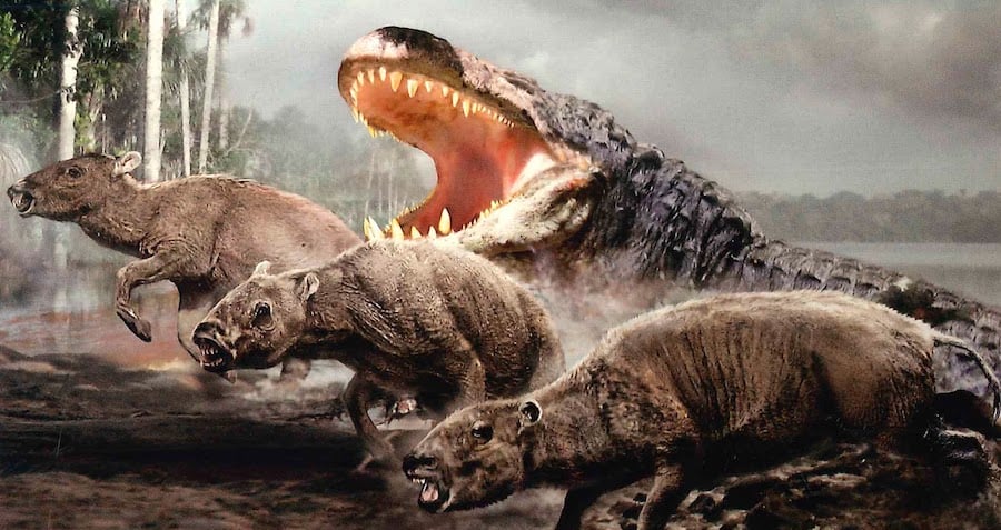 Purussaurus, The Prehistoric Predator More Powerful Than T.Rex