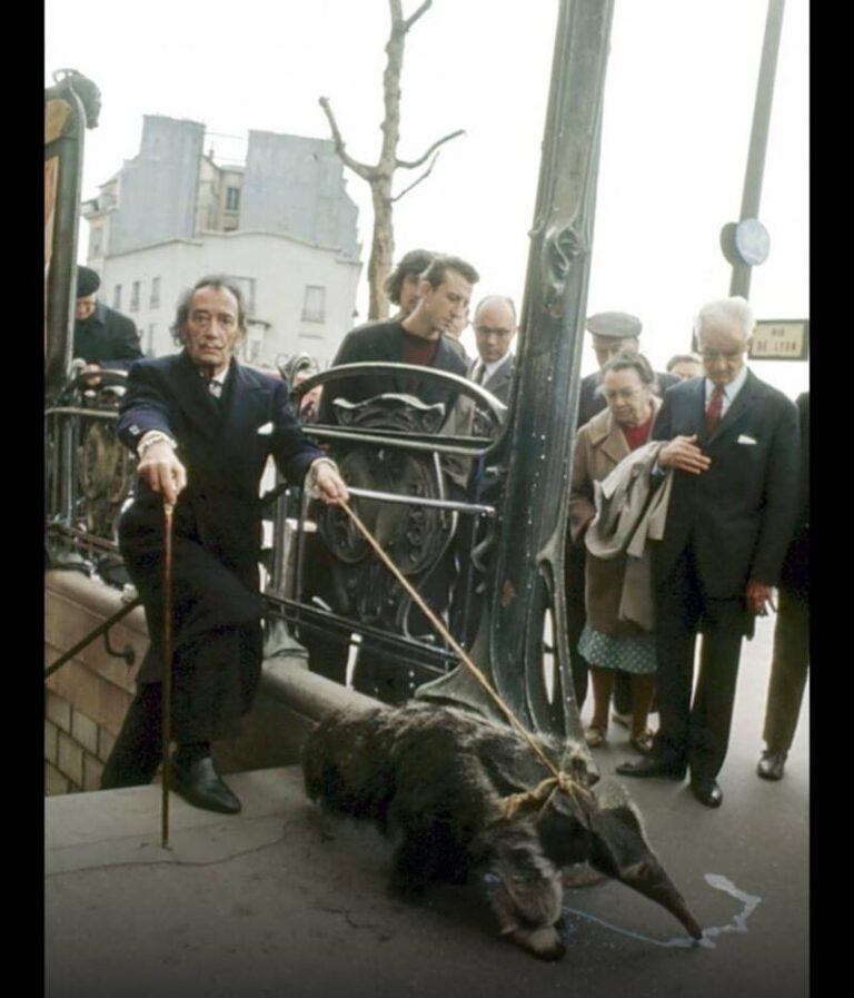 99 Interesting Facts That Are As Random As They Are Fun