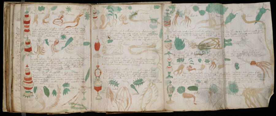 Inside The Voynich Manuscript, The Indecipherable Medieval Codex
