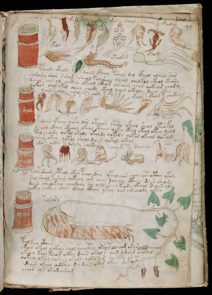 Inside The Voynich Manuscript, The Indecipherable Medieval Codex