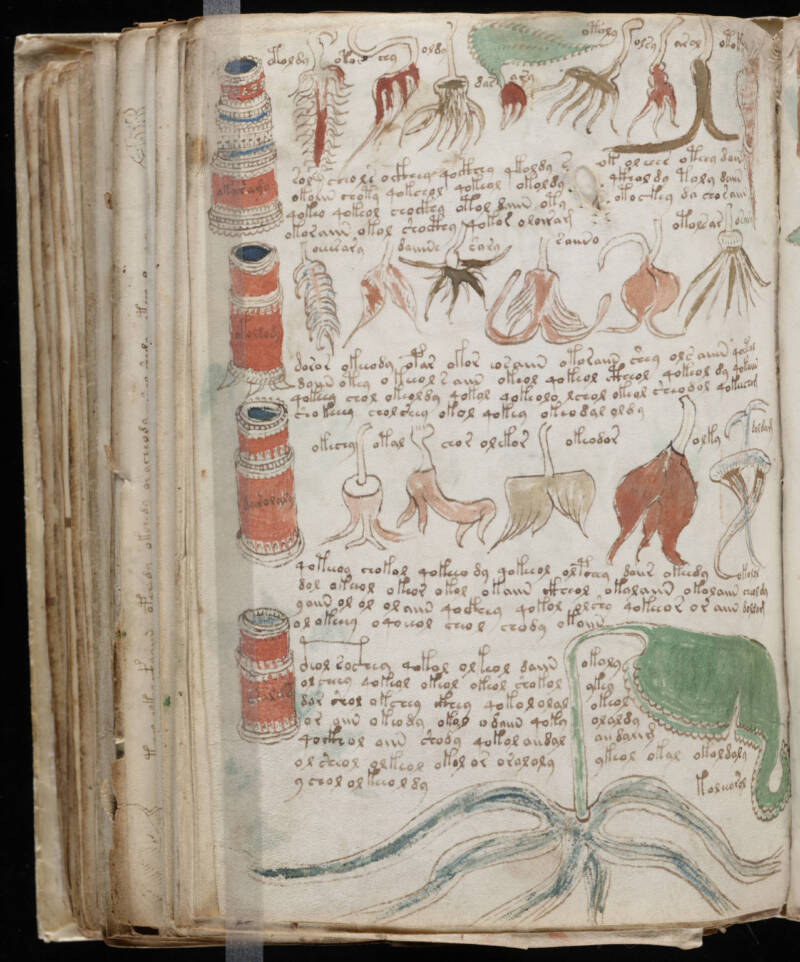 Inside The Voynich Manuscript, The Indecipherable Medieval Codex