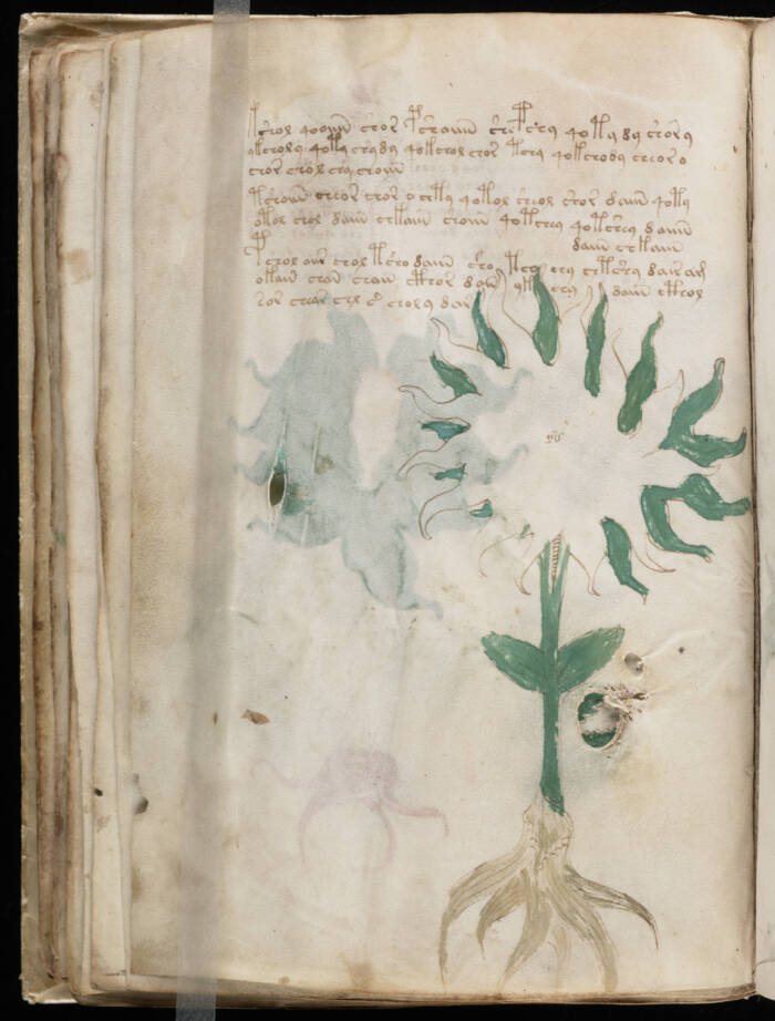 Inside The Voynich Manuscript, The Indecipherable Medieval Codex