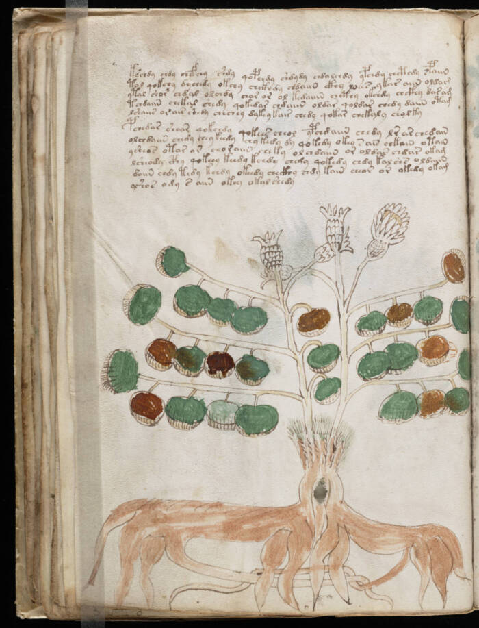 Inside The Voynich Manuscript, The Indecipherable Medieval Codex