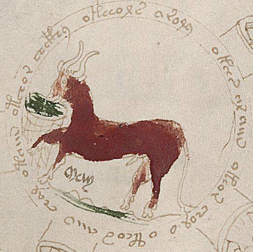 Inside The Voynich Manuscript, The Indecipherable Medieval Codex