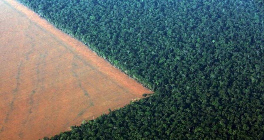 Indigenous Plan To Protect 80 Percent Of Amazon Could Save Rainforest