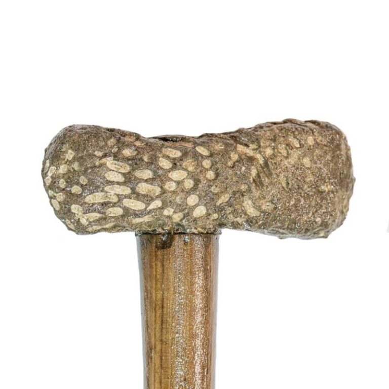 Bronze Age Coffin Made Of Tree Trunk Found On English Golf Course