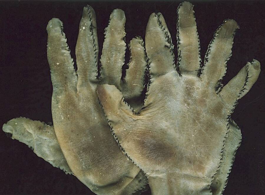55 Scary Pictures From The Creepiest Corners Of History