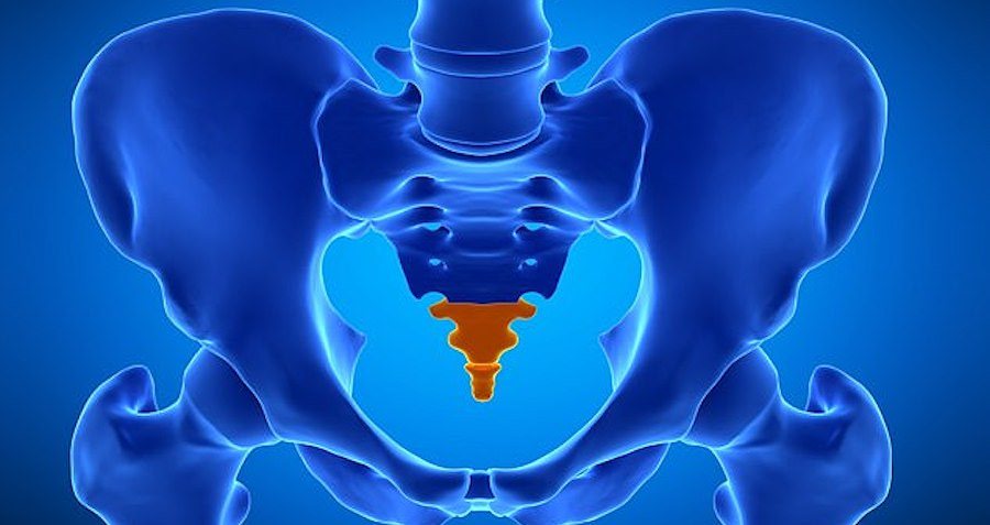 Why Don't Humans Have Tails? This New Study Has A Possible Answer Why Don't Humans Have Tails? This New Study Has A Possible Answer