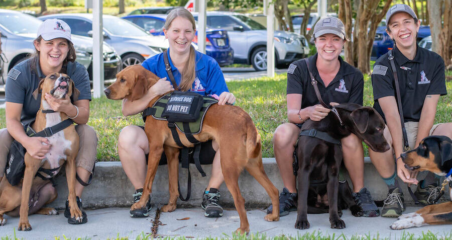 Newly-Signed PAWS Act Provides Service Dogs To Veterans With PTSD