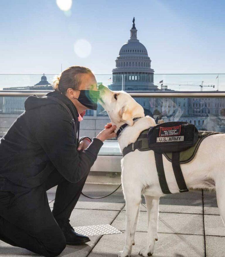 Newly-Signed PAWS Act Provides Service Dogs To Veterans With PTSD
