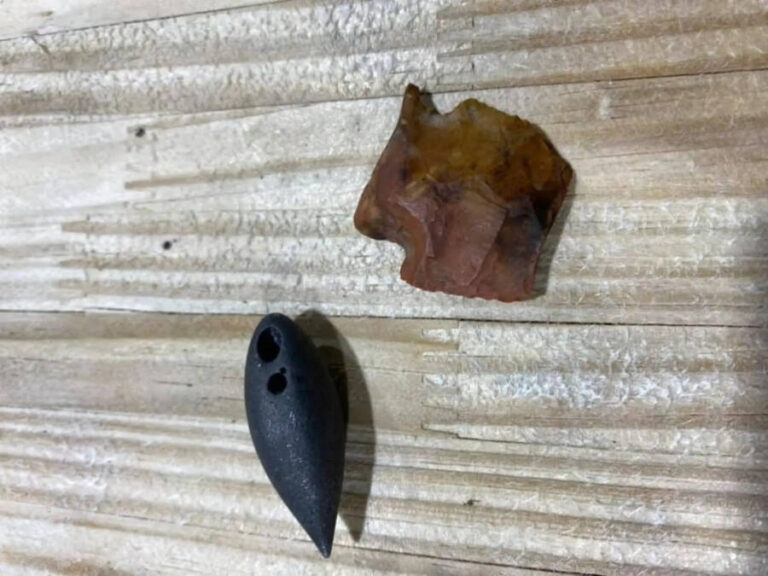 8,000-Year-Old Native American Artifacts Found In Alligator Stomach