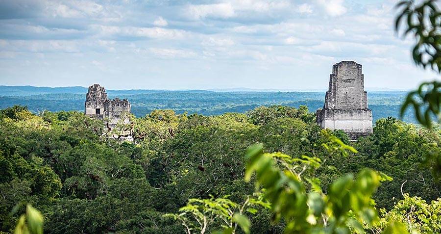 Hidden Neighborhood Discovered At Ancient Maya City Of Tikal