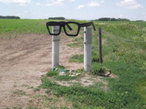 Inside Buddy Holly's Death In A Plane Crash And 'The Day The Music Died'