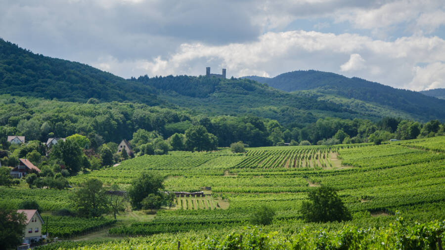 Inside Château D’Andlau, The Medieval Ruined Castle Of Alsace