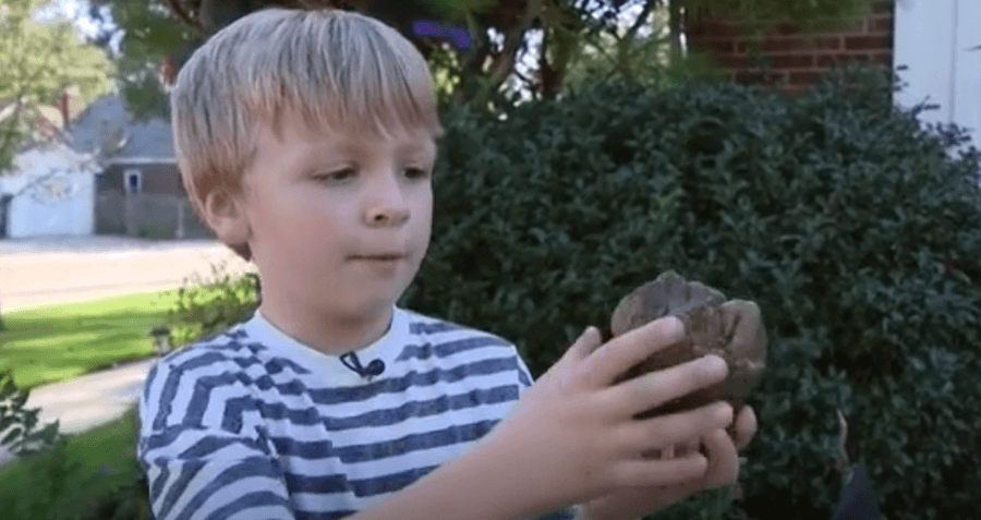 12,000-Year-Old Mastodon Tooth Found By Six-Year-Old Michigan Boy