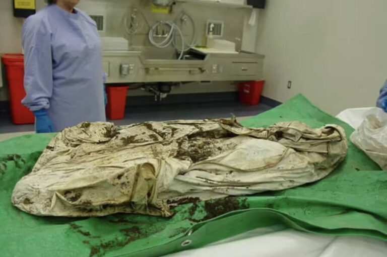 Victim Of Serial Killer Robert Hansen Finally Identified After 37 Years