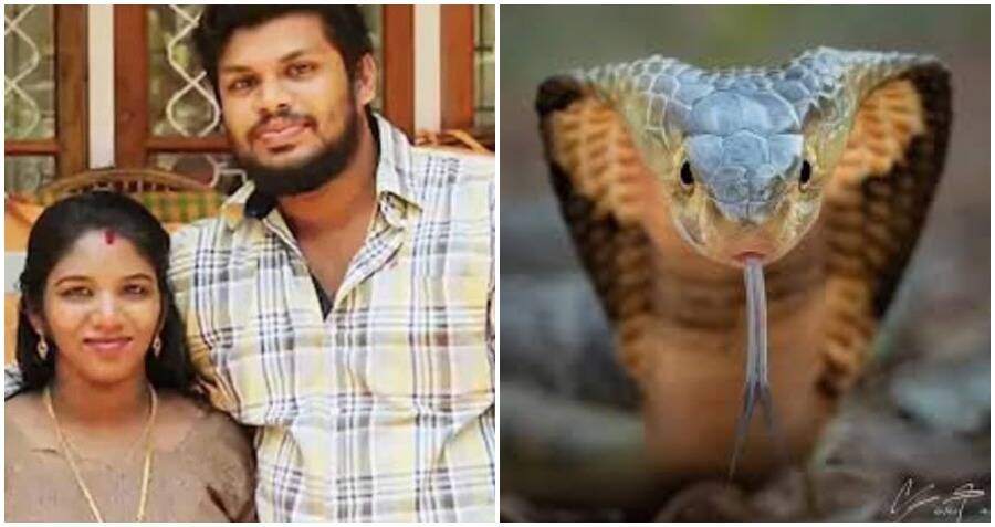 Indian Man Murders Wife With Deadly Cobra Snake To Inherit Her Jewelry