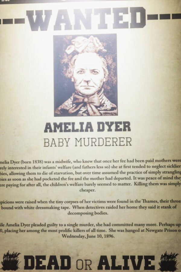 Amelia Dyer, The Victorian Serial Killer Who Killed More Than 300 Babies