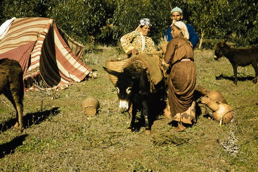 Berbers: The History Of The Original Inhabitants Of North Africa