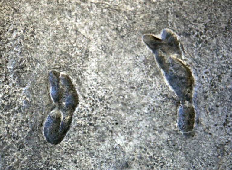 Ancient Footprint Found In Africa Linked To Unknown Human Ancestor