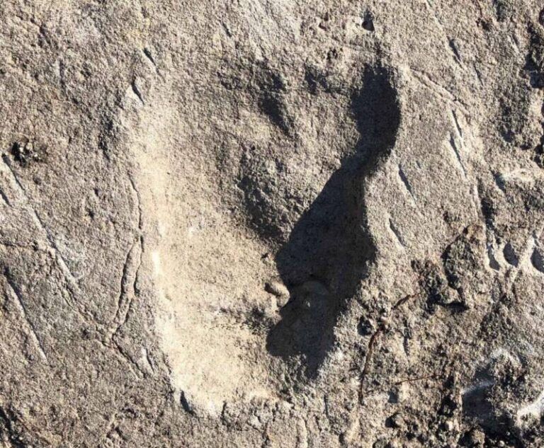 Ancient Footprint Found In Africa Linked To Unknown Human Ancestor
