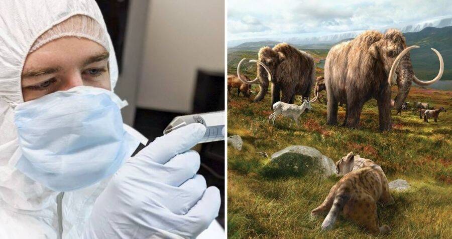 Woolly Mammoths’ Extinction In Canada Happened Just 5,000 Years Ago
