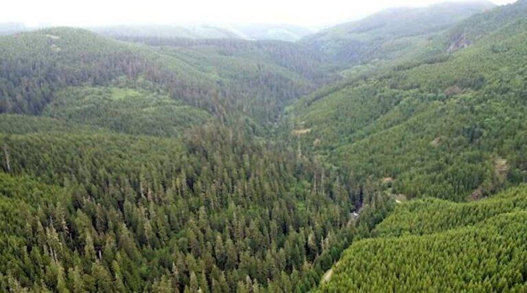 Maureen Kelly, The Naked Hiker Who Disappeared In Washington State