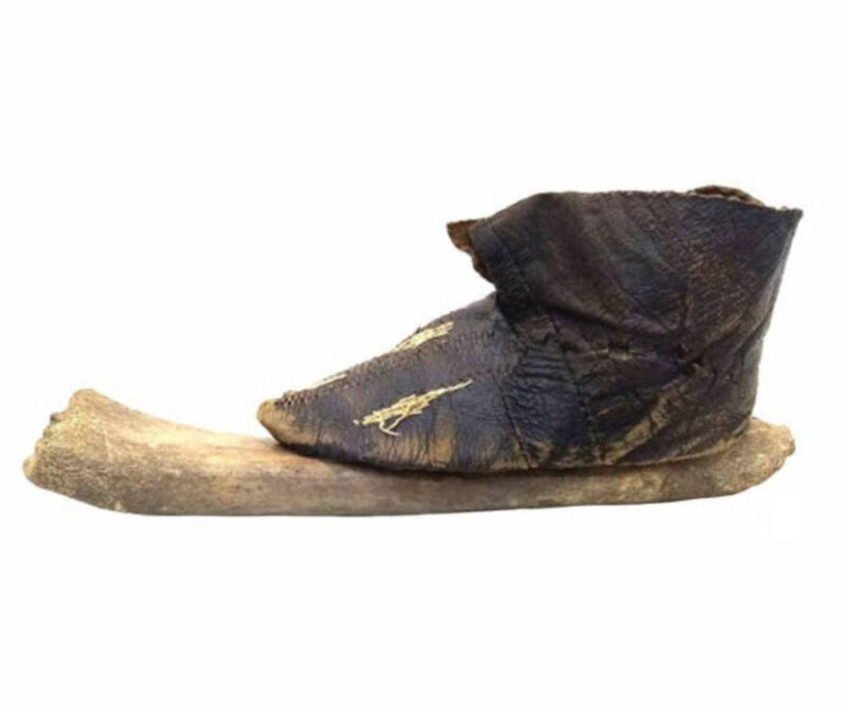 This Week In History News, Feb. 20 - 26