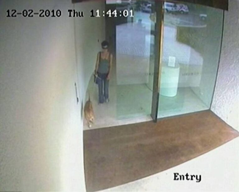 Phoebe Handsjuk And Her Mysterious Death In A Trash Chute