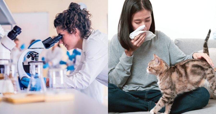 Interesting Science Articles And Breaking News From All That's Interesting