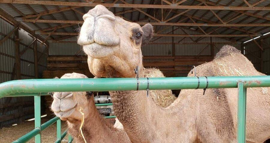 Kaleena Fraga - All That's Interesting