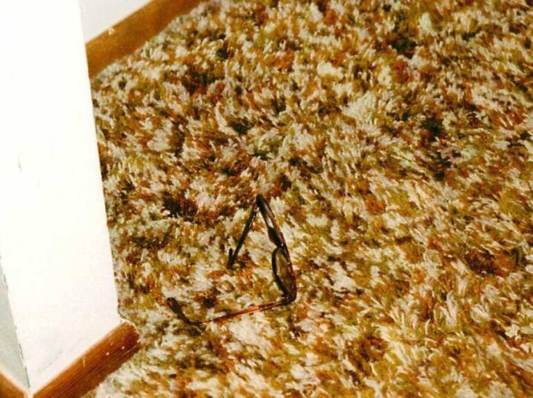 Jeff Pelley And The Gruesome Prom Night Murders Of 1989