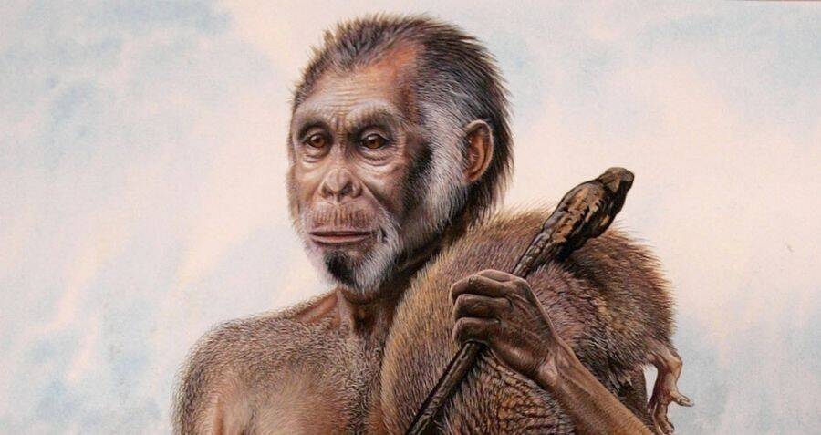 Anthropologist Believes A 'Hobbit' Species Still Exists In Indonesia