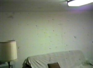 Jeff Pelley And The Gruesome Prom Night Murders Of 1989