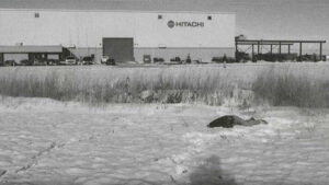 Inside Canada's 'Starlight Tours' And The Saskatoon Freezing Deaths