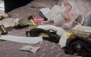 Phoenix Coldon's Disappearance: The Disturbing Full Story