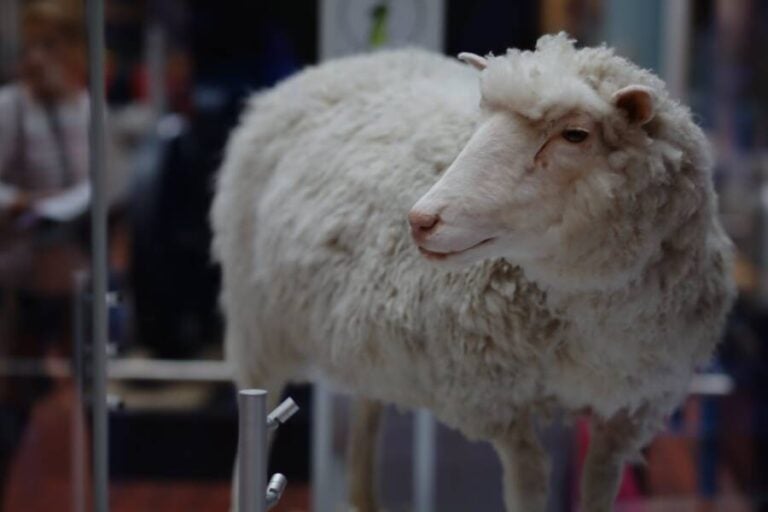 This Day In History: What Happened On July 5th