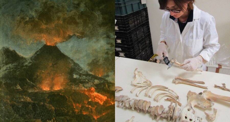 The World's Most Interesting News Articles From All That's Interesting