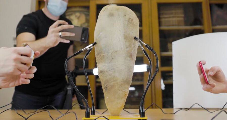 Egyptian Mummy Forgotten In A Closet Revealed As Ancient Sacred Ibis