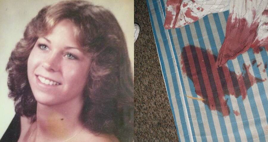 Elizabeth Stacey's Instagram, Twitter & Facebook on IDCrawl