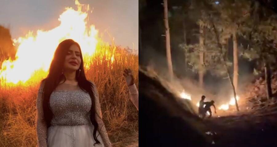 Pakistani Tiktokers Have Allegedly Started Forest Fires For Their Videos
