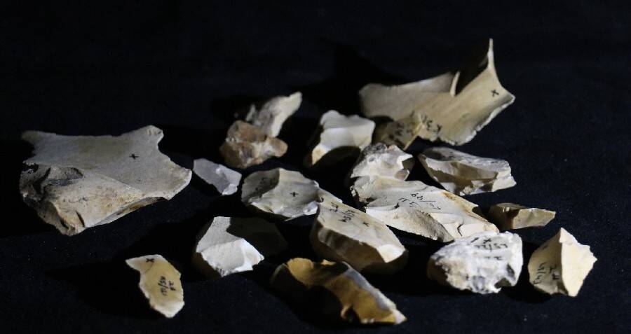 Study Suggests Humans Started Using Fire Almost A Million Years Ago