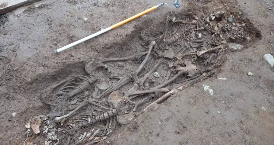 A 'Gruesome End': Centuries-Old Bodies Discovered Under Irish Pub