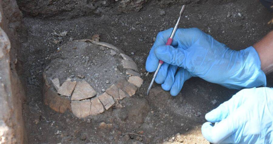 Archaeologists Find Remains Of 2,000-Year-Old Tortoise In Pompeii Ruins