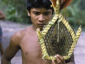 Bullet Ant, The Creature With The World's Most Painful Sting