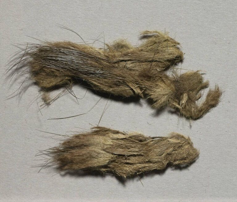 This Week In History News, Jul. 31 - Aug. 6