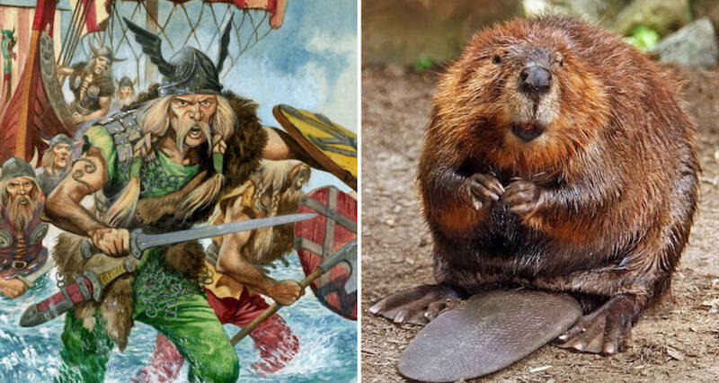 This Week In History News, Jul. 31 - Aug. 6